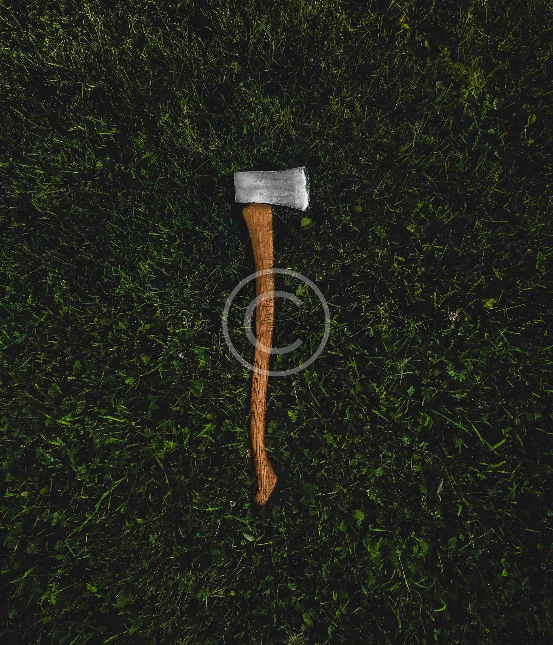 Modern Interface – RootImpex