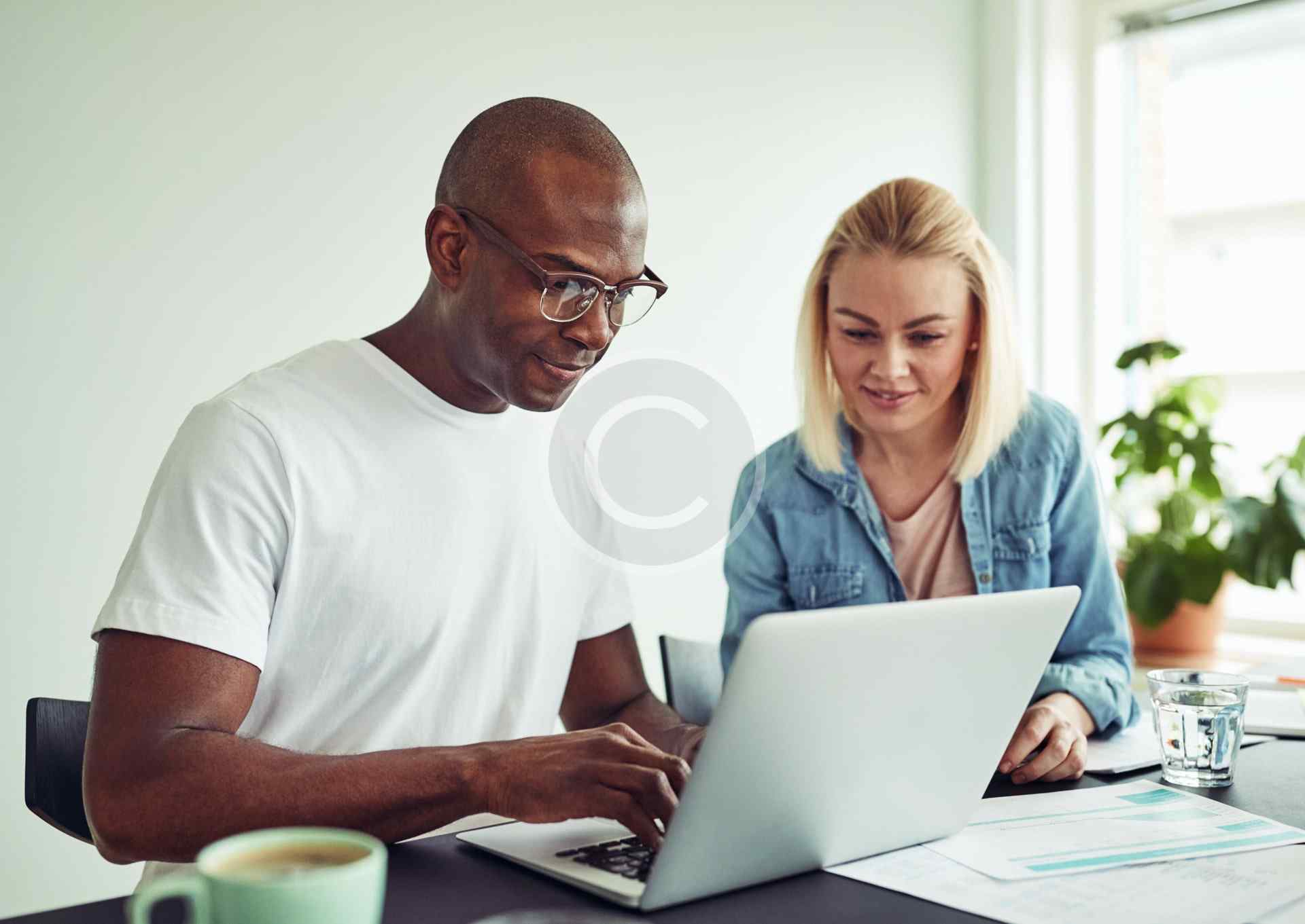 Startup Project Guide – RootImpex